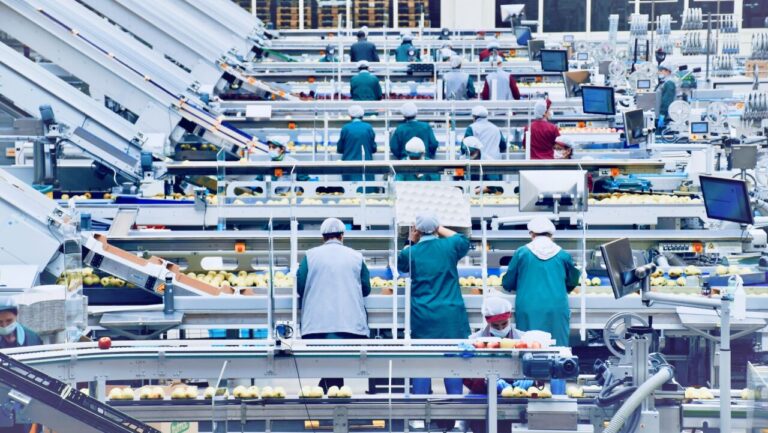 20 Things Flexible Manufacturing Allows Your Company to Do - RoboDK blog